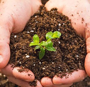 Sandwich Enterprise: Mulch and Compost - Heritage Museums & Gardens